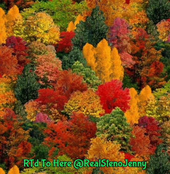 RTd To Here @RealStenoJenny Meme Generator