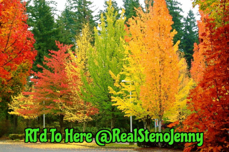 RT'd To Here @RealStenoJenny Meme Generator