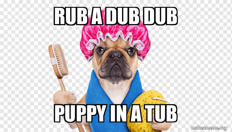 Rub a DUB DUB Puppy in a tub Meme Generator