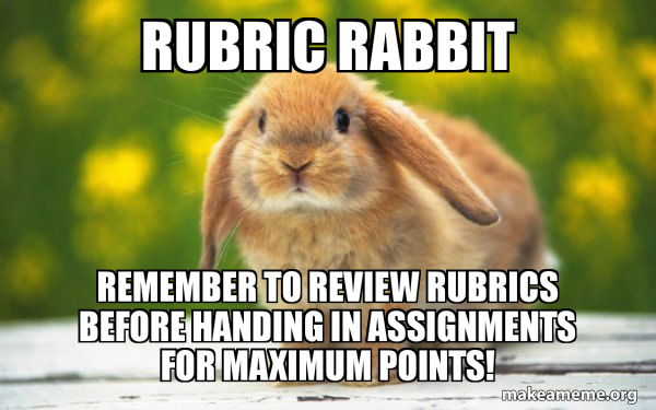 Memes Rubric 17 Formative Assessment Memes Ideas | Formative