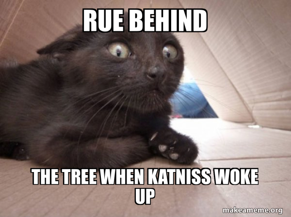 rue behind the tree when Katniss woke up - Schitzo Cat Meme Generator