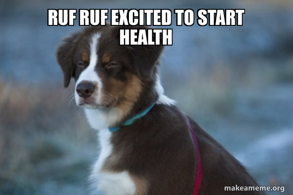 Ruf Ruf excited to start health - Unsure Dog Meme Generator