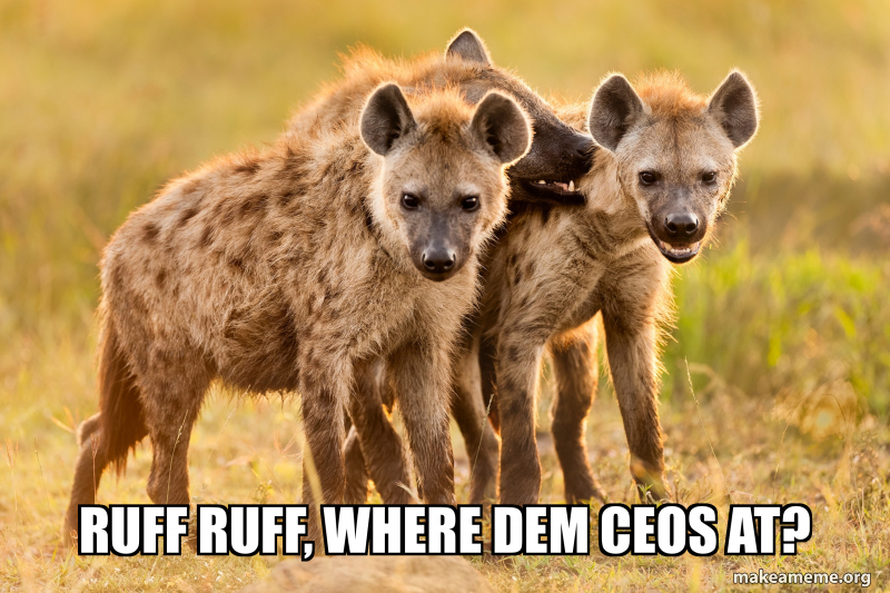 ruff Ruff, where Dem CEOs at? Meme Generator