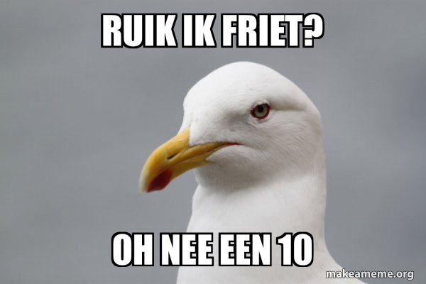 ruik ik friet? oh nee een 10 - Stuff That Didn't Happen Seagull Meme ...