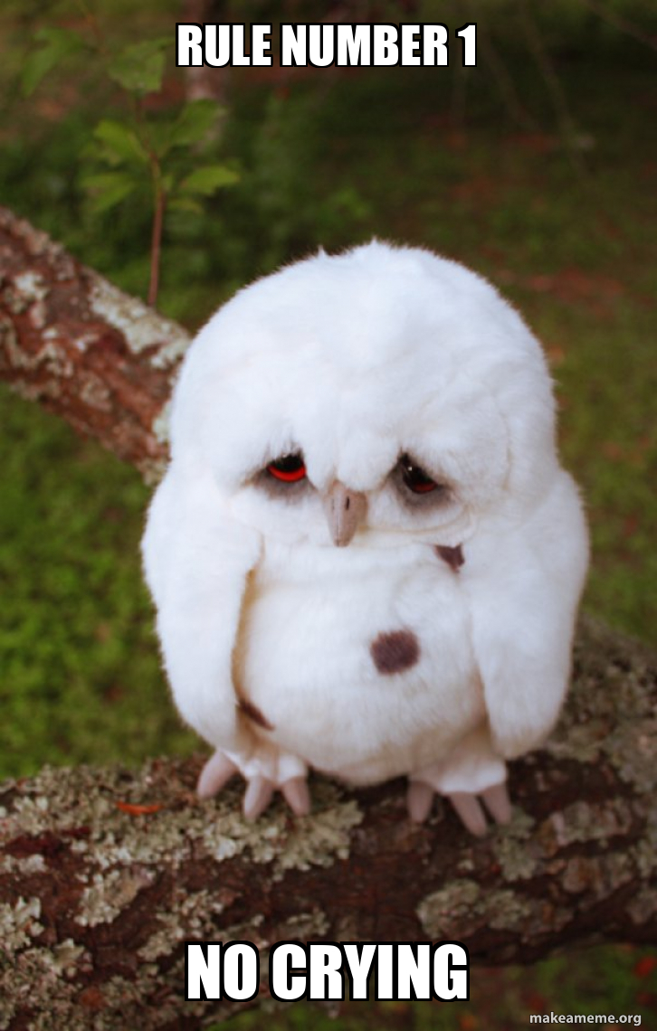Rule Number 1 No crying - Sad Owl Meme Generator