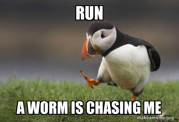 Run A worm is chasing me - Unpopular Opinion Puffin Meme Generator