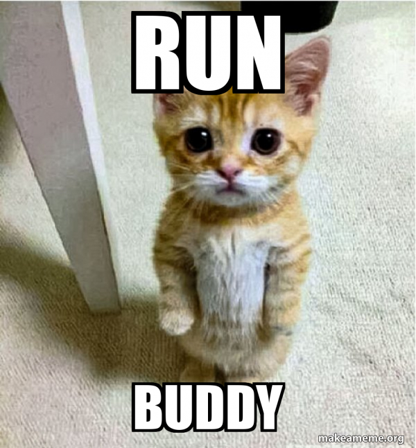 run buddy - Cute Cat Standing Meme Generator