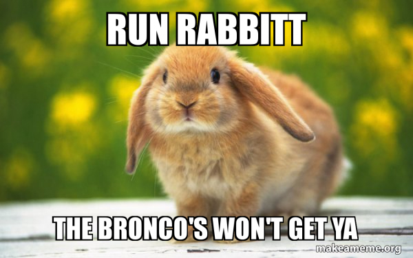 Run Rabbitt The Bronco's Won't get YA - Regretful Rabbit Meme Generator