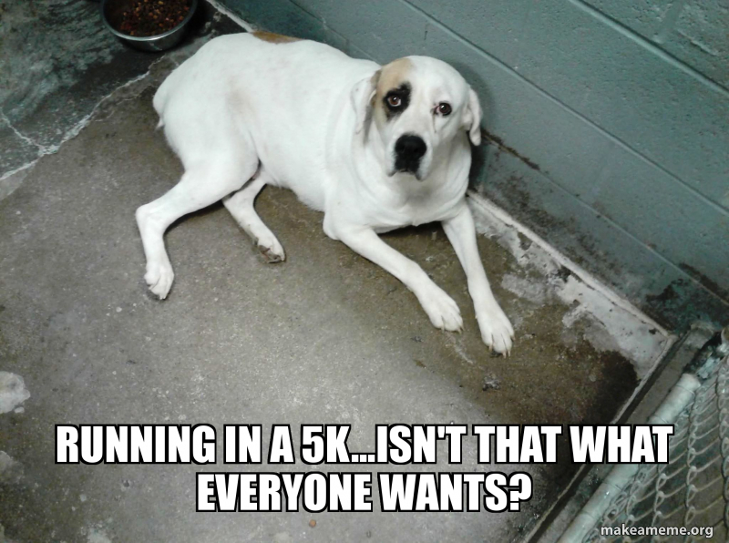Running in a 5k...isn't that what everyone wants? Meme Generator