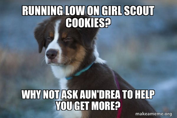 Running low on Girl Scout Cookies? Why not ask Aun'Drea to help you get ...
