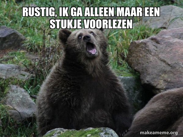 Rustig, ik ga alleen maar een stukje voorlezen - Sarcastic Bear Meme ...