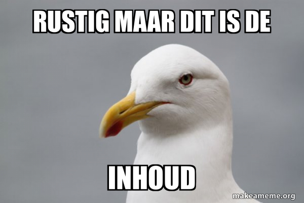 rustig maar dit is de inhoud - Stuff That Didn't Happen Seagull Meme ...