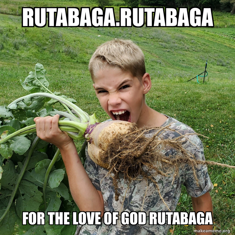 Rutabaga.rutabaga For the love of god rutabaga Meme Generator