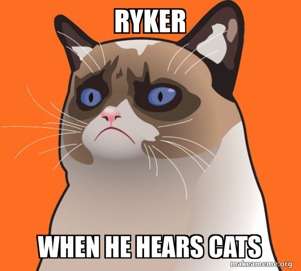 Ryker when he hears cats - Cartoon Grumpy Cat Meme Generator