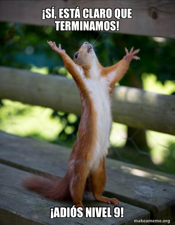 ¡Sí, está claro que terminamos! ¡Adiós nivel 9! - Happy Squirrel Meme ...