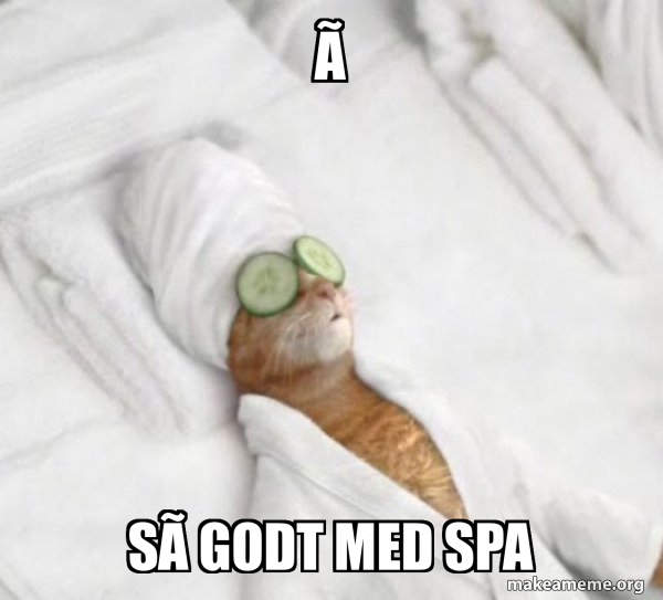 å så godt med spa - Pampered Cat Meme Meme Generator