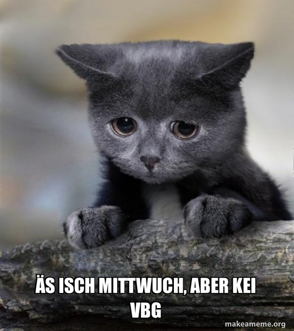 Äs isch MITTWUCH, Aber kei VBG - Confession Cat Meme Generator