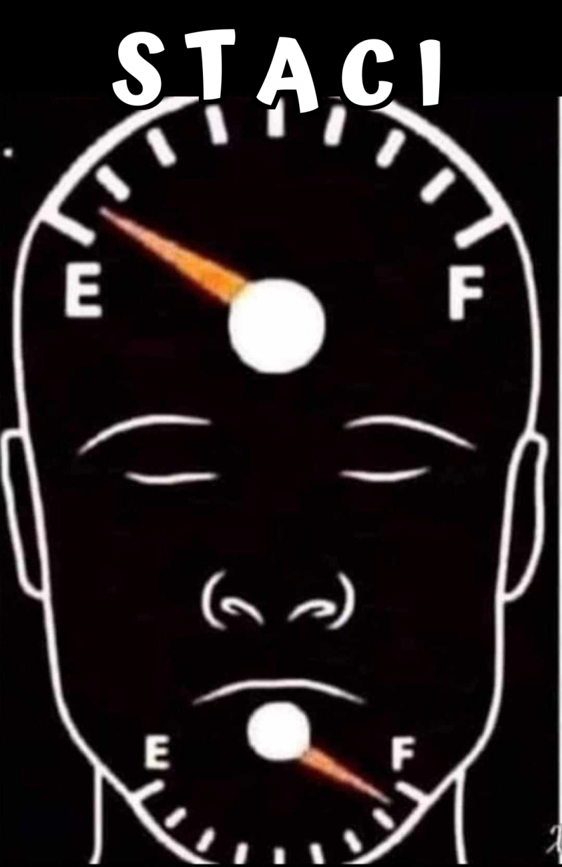 S t a c i Meme Generator