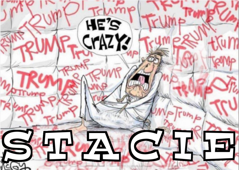 S t a c I e Meme Generator