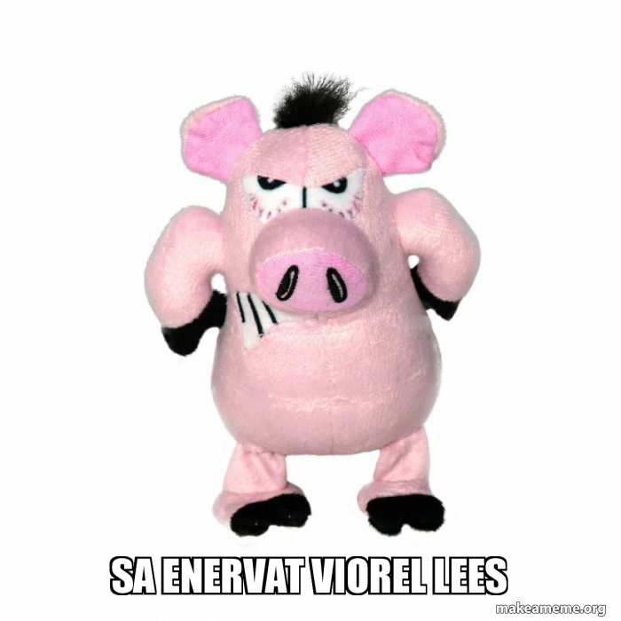 sa enervat viorel lees Meme Generator
