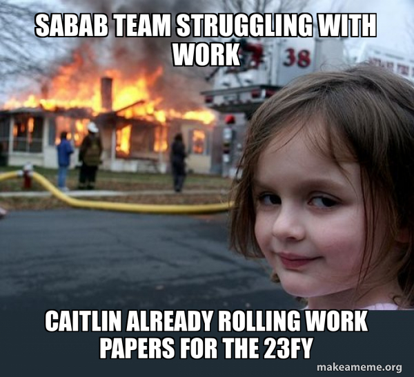 SABAB Team Struggling with Work Caitlin already rolling work papers for ...