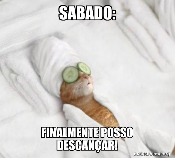 sabado: finalmente posso descançar! - Pampered Cat Meme Meme Generator