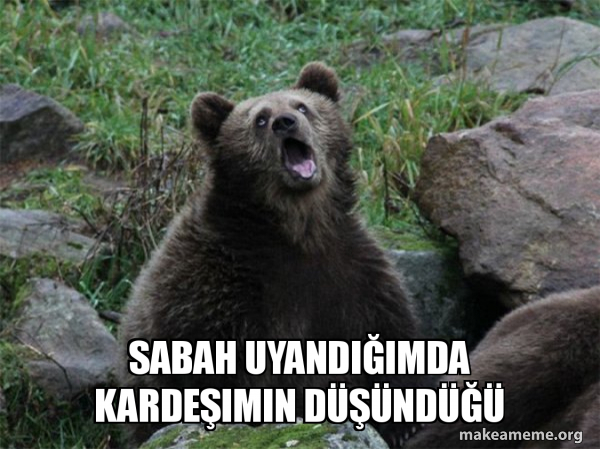 Sabah uyandÄ±ÄŸÄ±mda kardeÅŸimin dÃ¼ÅŸÃ¼ndÃ¼ÄŸÃ¼ - Sarcastic Bear Meme ...
