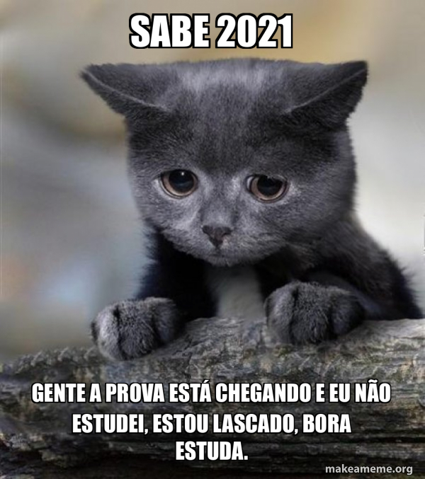 SABE 2021 GENTE A PROVA ESTÁ CHEGANDO E EU NÃO ESTUDEI, ESTOU LASCADO ...