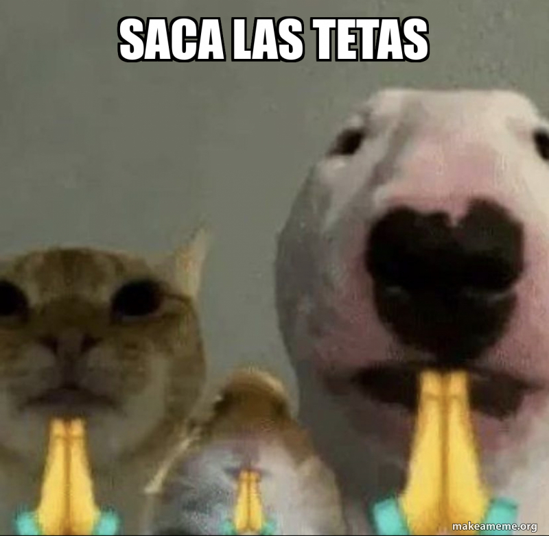 Saca las tetas Meme Generator
