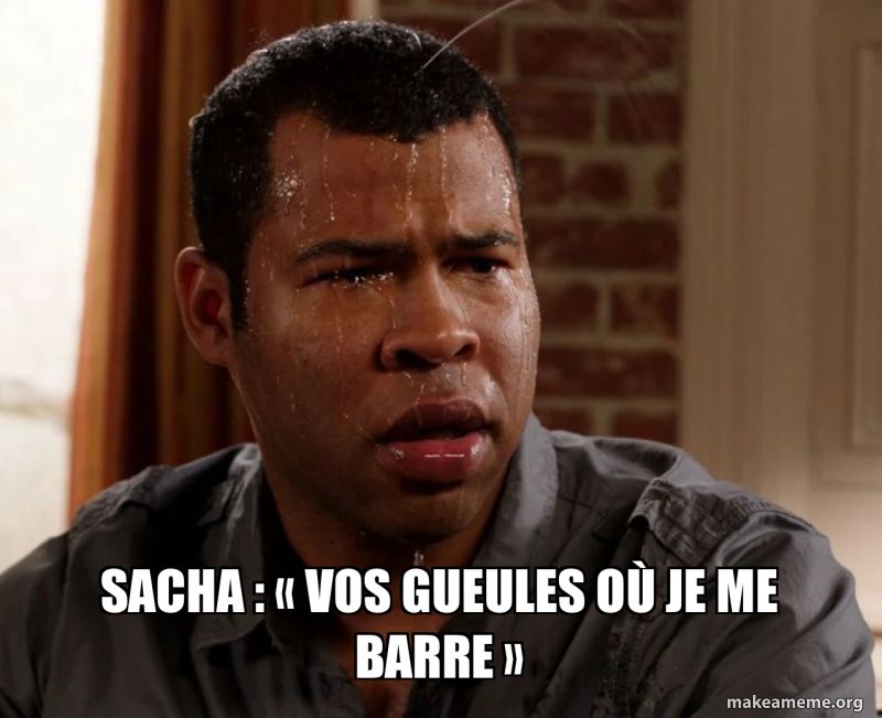 Sacha : « vos gueules où je me barre » Meme Generator