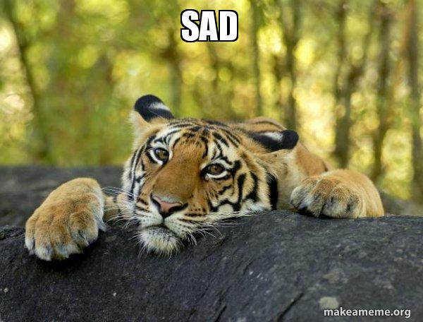 Sad - Confession Tiger Meme Generator