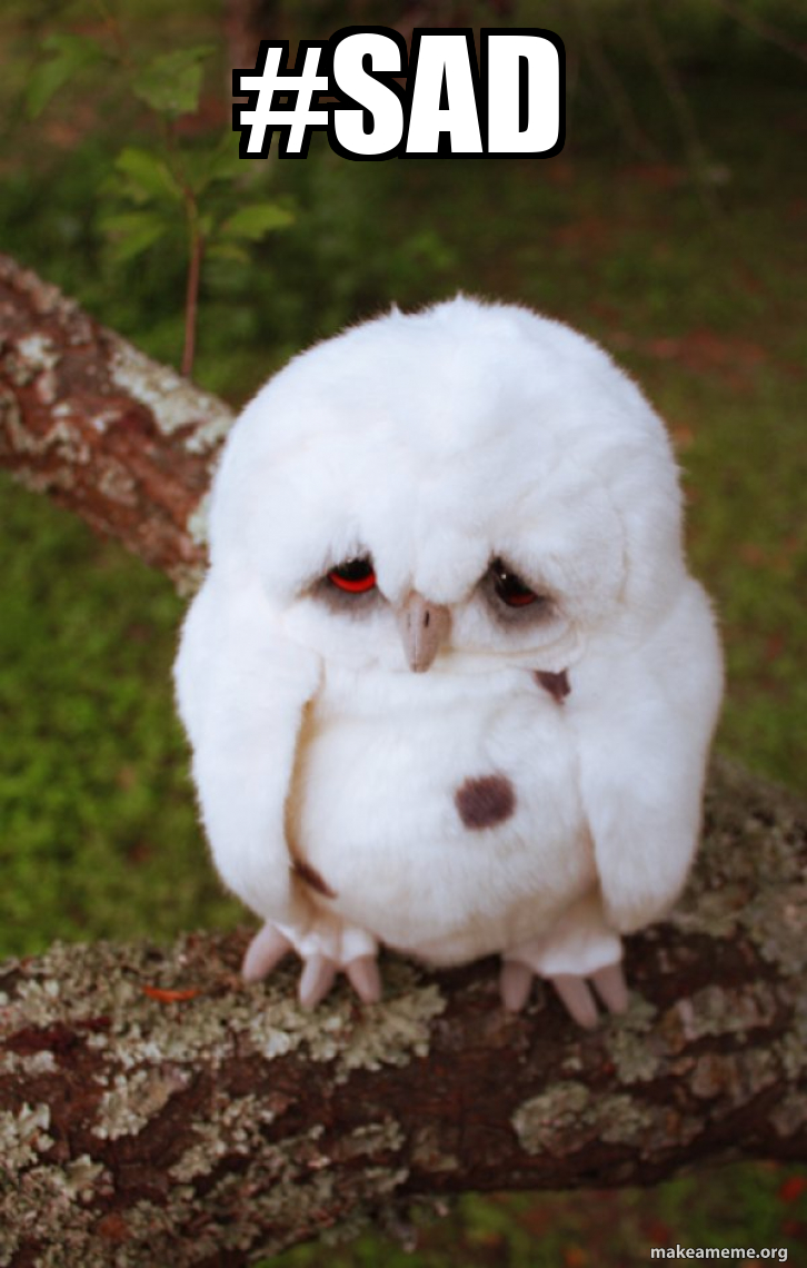 #sad - Sad Owl Meme Generator