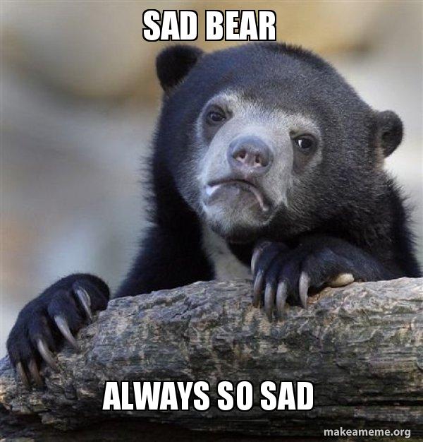 sad bear always so sad - Confession Bear Meme Generator