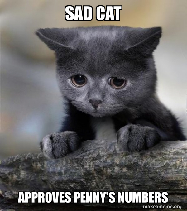 Sad cat Approves Penny's numbers - Confession Cat | Make a Meme
