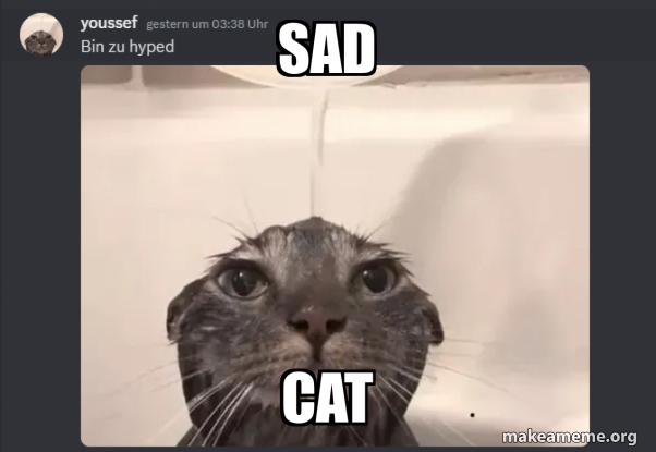sad cat Meme Generator