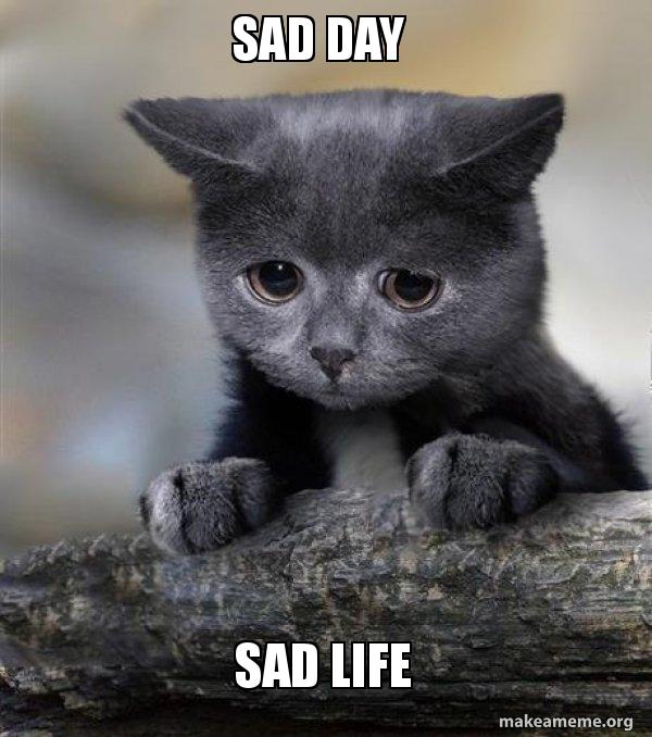 Sad day Sad life - Confession Cat Meme Generator