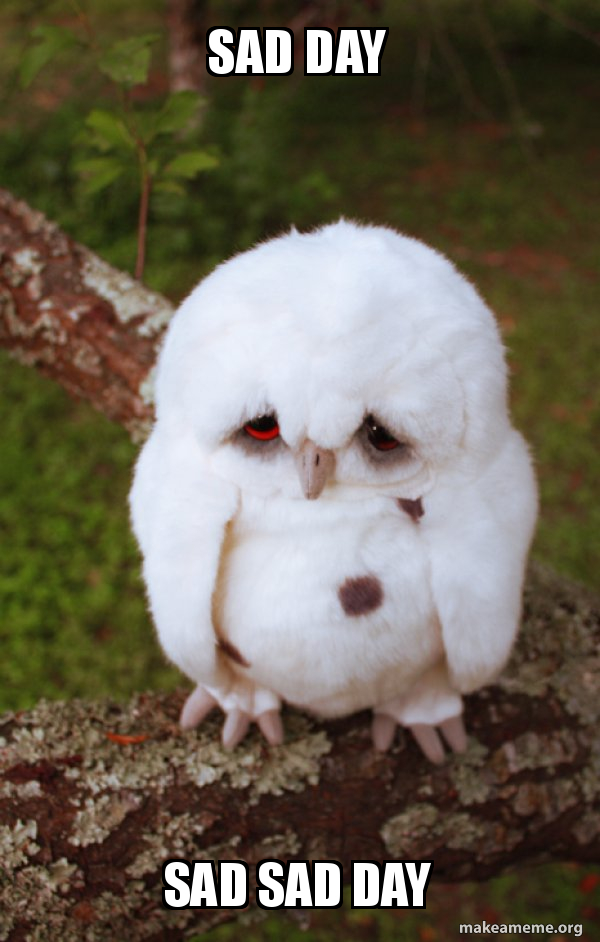 sad day sad sad day - Sad Owl Meme Generator