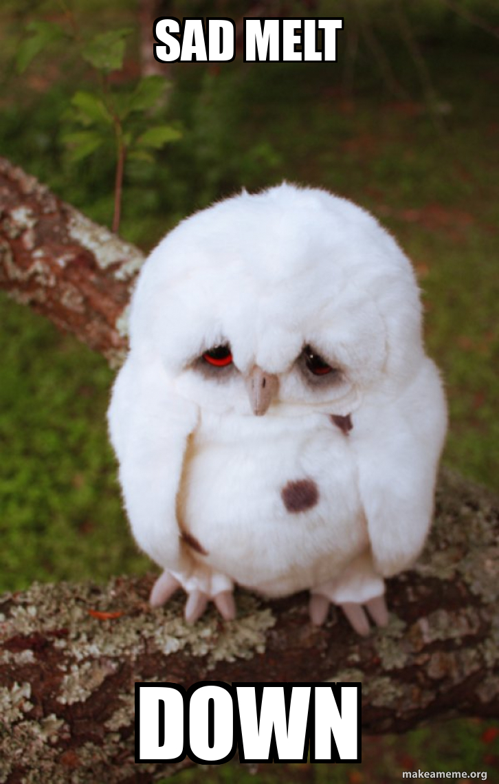 sad melt down - Sad Owl Meme Generator