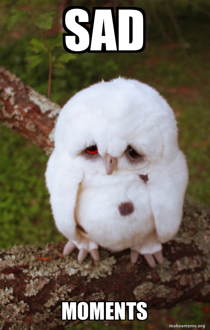 sad moments - Sad Owl Meme Generator