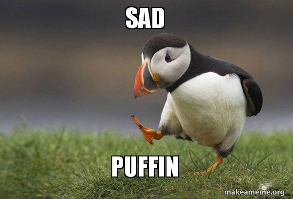 Sad Puffin - Unpopular Opinion Puffin Meme Generator