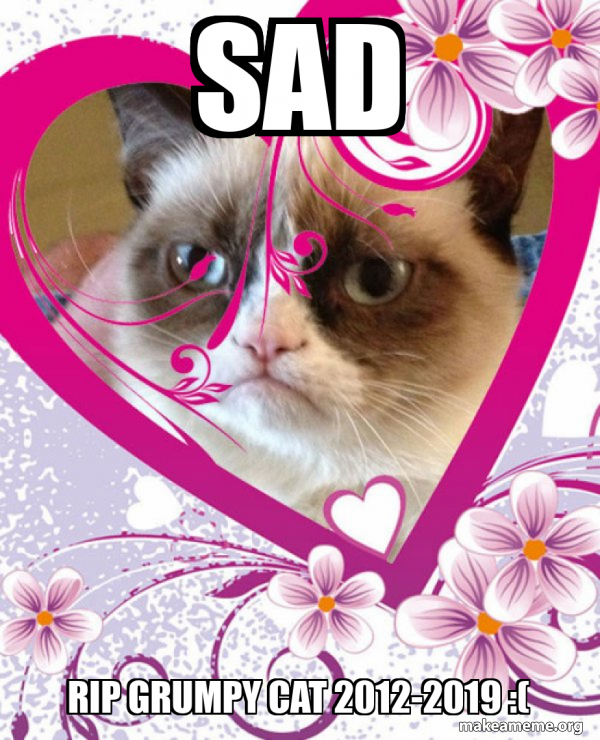 sad RIP grumpy cat 2012-2019 :( - Grumpy cat Valentines Day Meme Generator