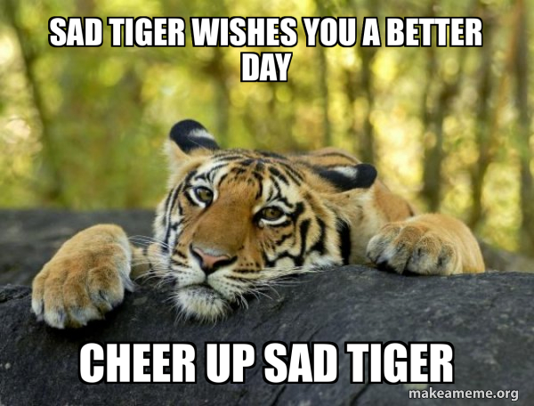 sad tiger wishes you a better day cheer up sad tiger - Confession Tiger ...