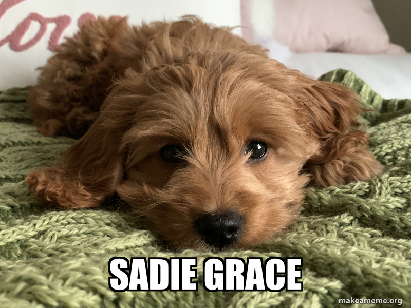 Sadie Grace Meme Generator