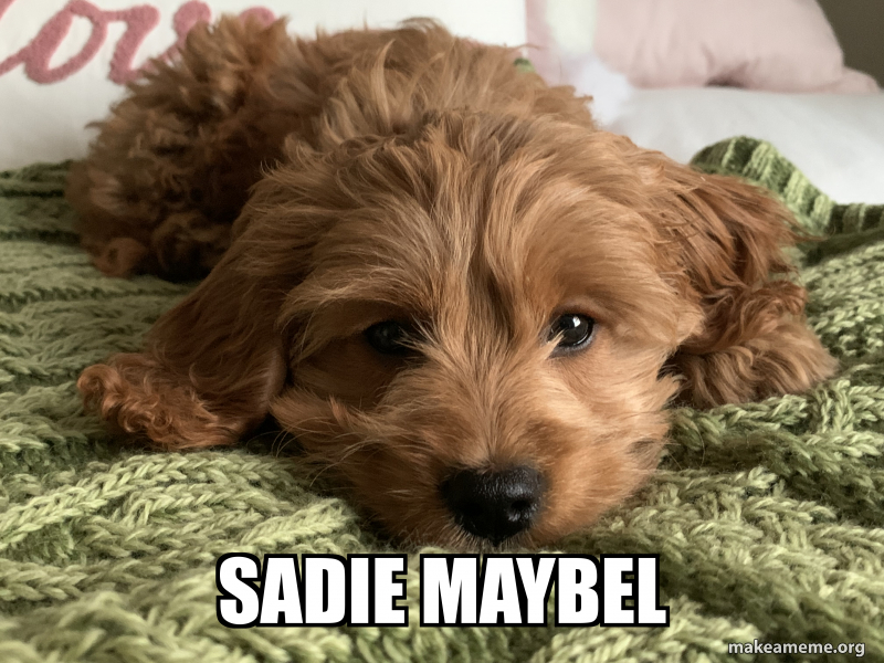Sadie Maybel Meme Generator