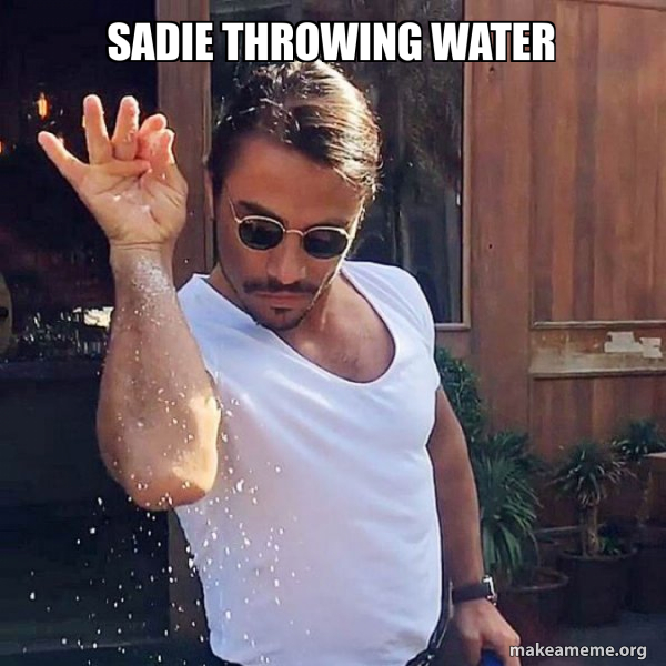 Sadie throwing water - SaltBae or Salt Bae Meme Generator