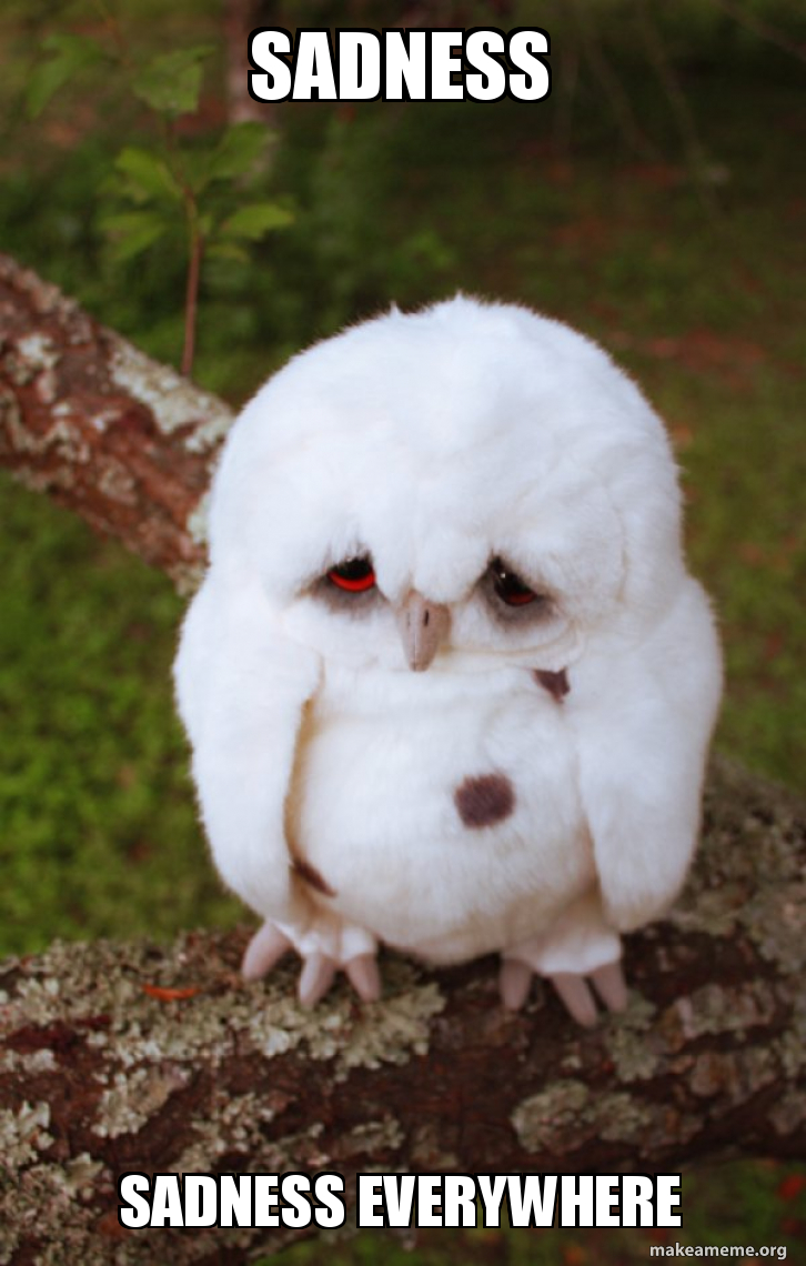 Sadness Sadness everywhere - Sad Owl Meme Generator
