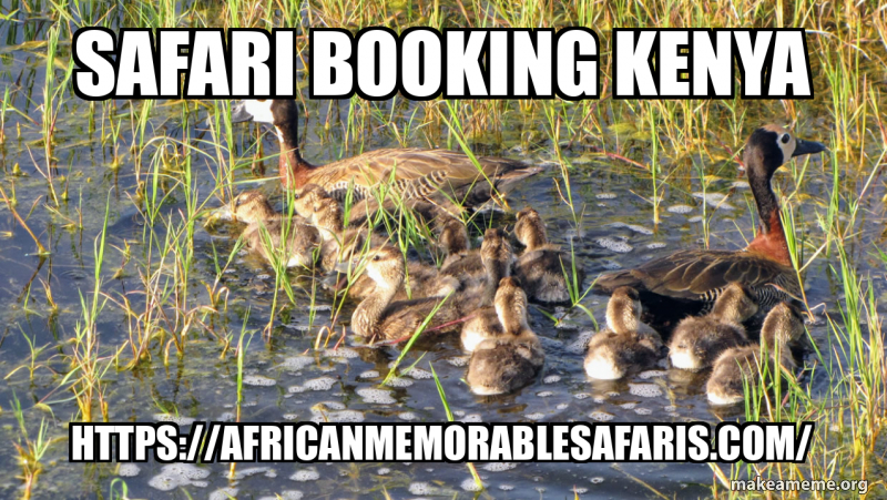 Safari Booking Kenya HTTPS://AFRICANMEMORABLESAFARIS.COM/ Meme Generator