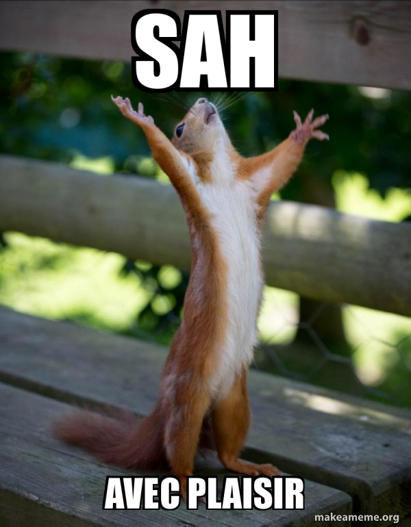 Sah Avec plaisir - Happy Squirrel Meme Generator