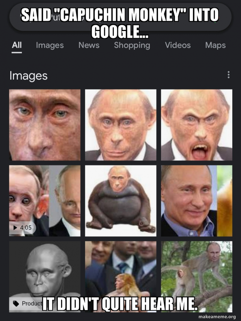 Said "capuchin monkey" into Google... It didn't quite hear me. Meme ...