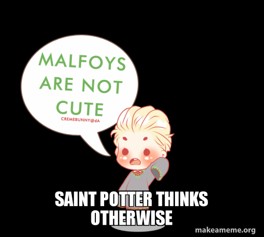 Saint potter thinks otherwise Meme Generator